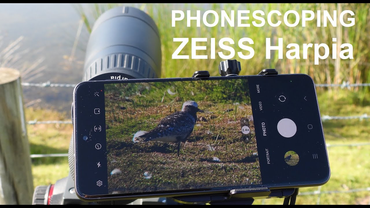 Phonescoping with Zeiss Harpia Spotting Scope and SmartoScope Vario ...
