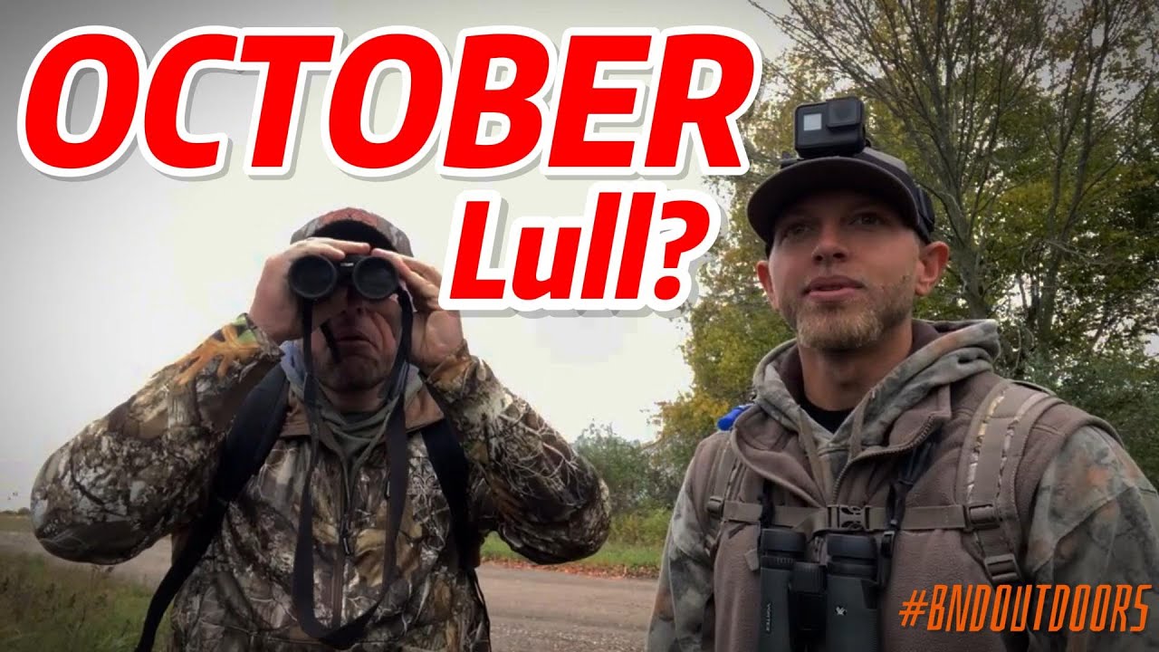 Is THE OCTOBER lull REAL!? (BOW Hunting Midwest WHITETAIL) - YouTube
