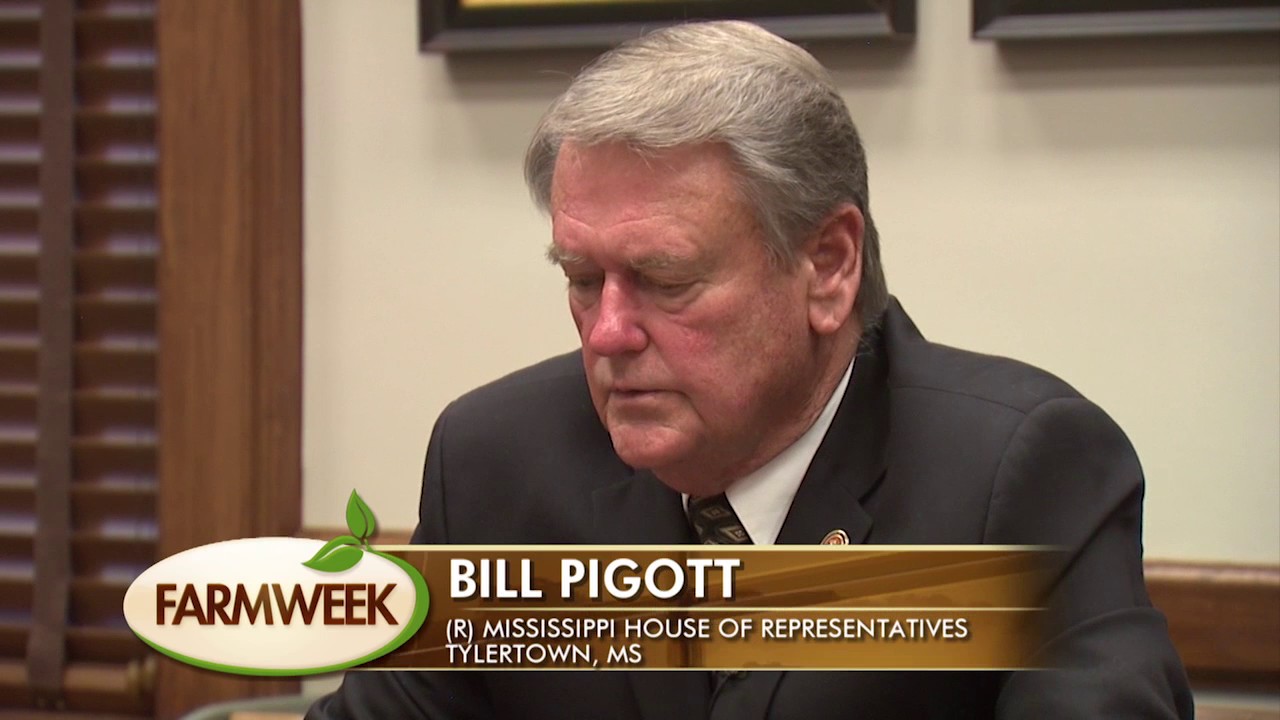 Agriculture Chair Bill Pigott Part 2 | Farmweek | March 23, 2017 - YouTube