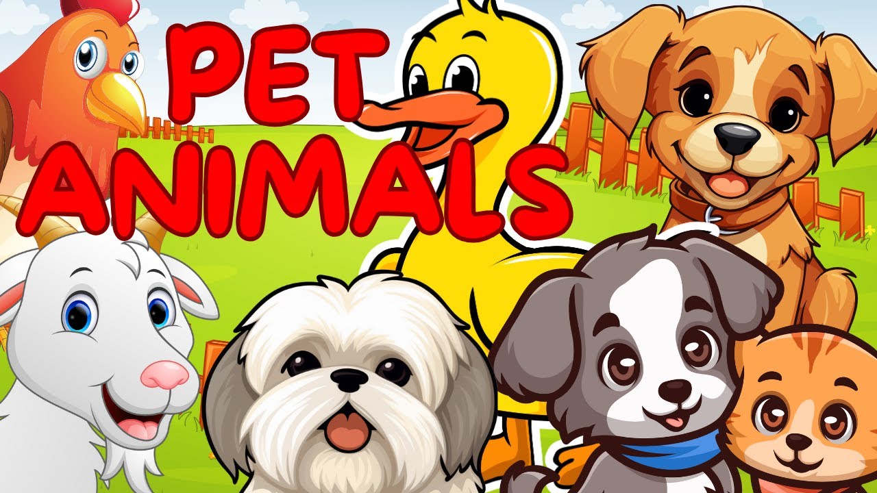 Pet Animals [New] Name | Pet Animals in English | Kids vocabulary ...