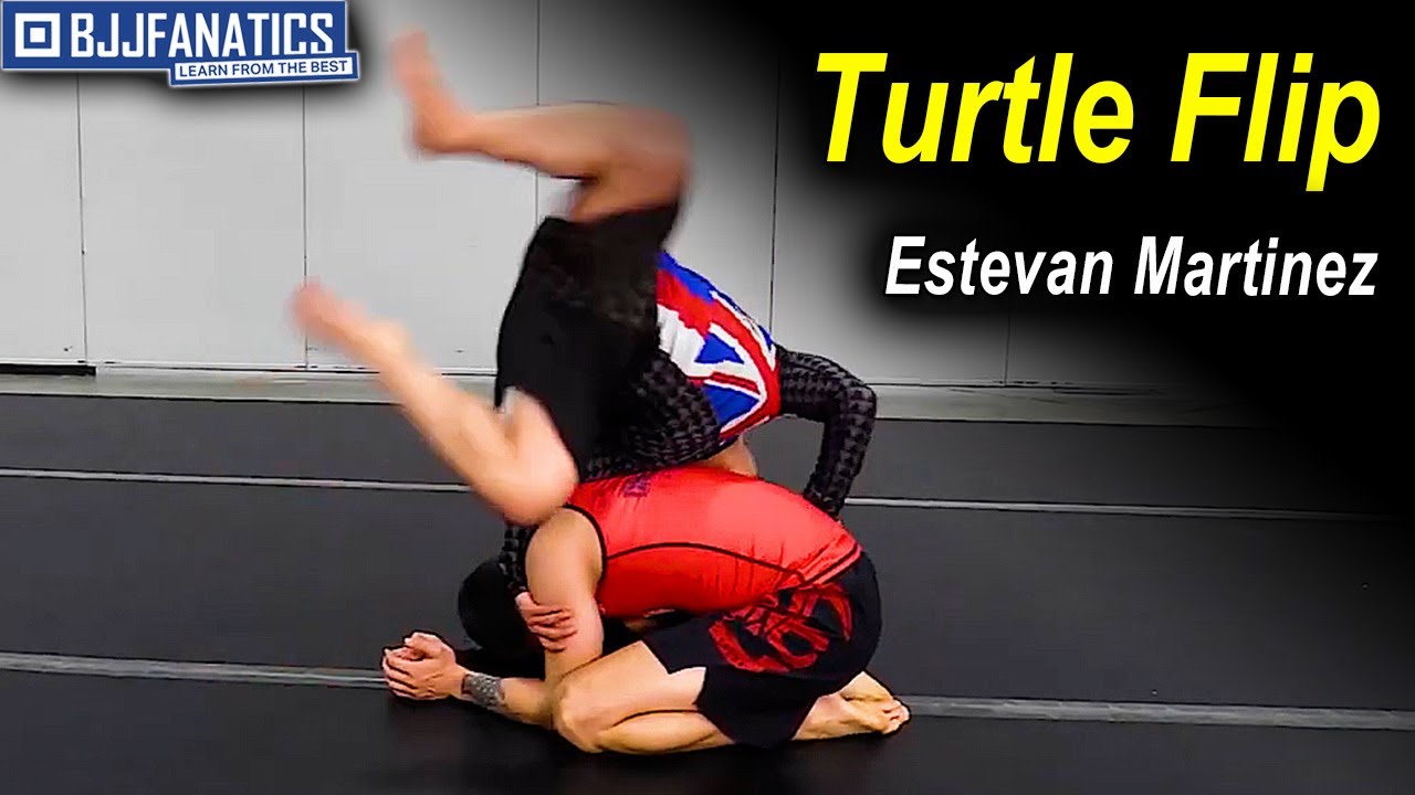 Turtle Flip by Estevan Martinez - YouTube
