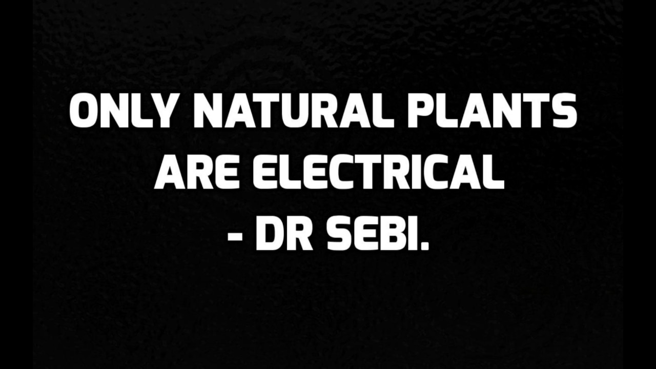 Dr Sebi - History of Medicine & Natural Plants - YouTube