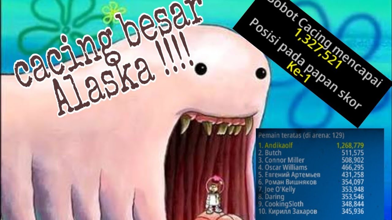 Berburu cacing besar Alaska worm zone !!! - YouTube