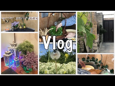 Yazıq pişik qızmımla başı dərdə😃Günlük vlog/Sumqayıt/evdar xanımın günlüyü