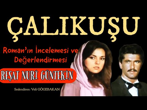 Çalıkuşu Romanı İncelemesi: Feride’nin İlham Veren Yolculuğu