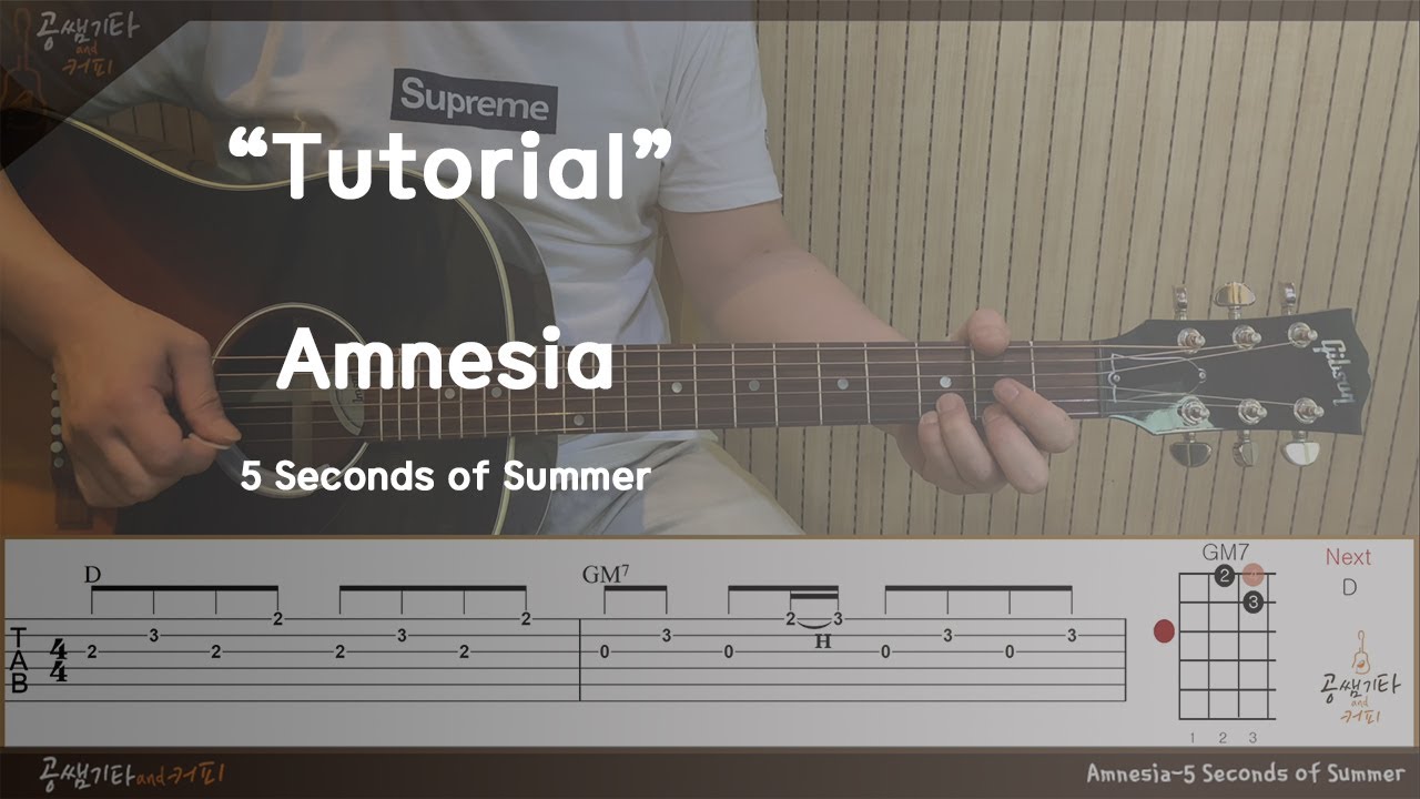 'Amnesia - 5 Seconds of Summer' Tutorial[강좌 l Acoustic Guitar Tutorial ...