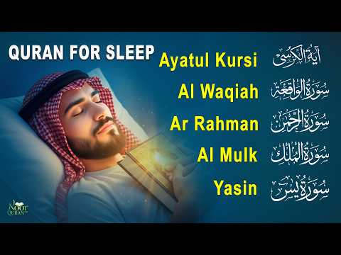 Beautiful Quran for Deep Sleep | Al-Fatiha,Ayatul Kursi,Surah Ar-Rahman, Al-Mulk, Yasin - Alaa Aqel