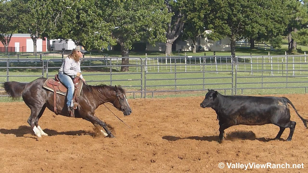 Miss Dual Ichi***For info, price, etc., go to our website*** Valley ...