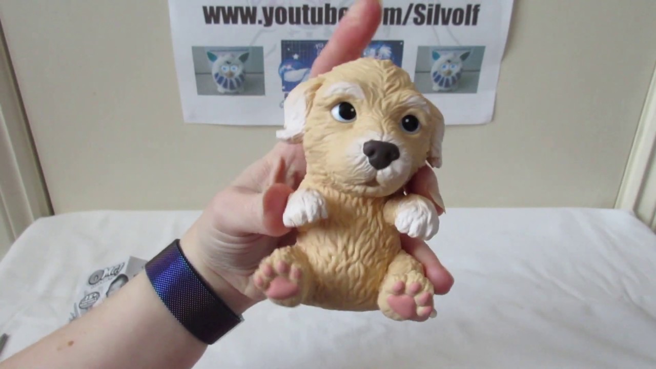Unboxing OMG Pets Poodles Dog - YouTube