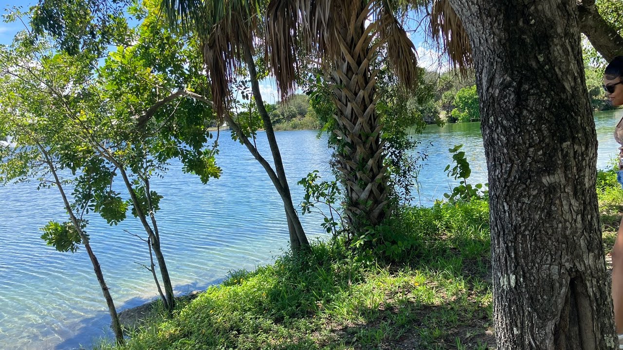 Beach (Edit) - Multi-Layer Mix 🏖 - YouTube