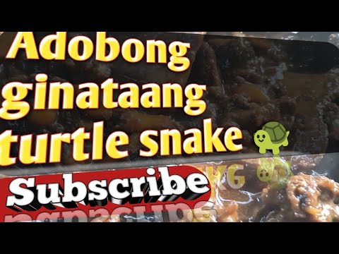 turtle snake adobo with gata 😋 - YouTube