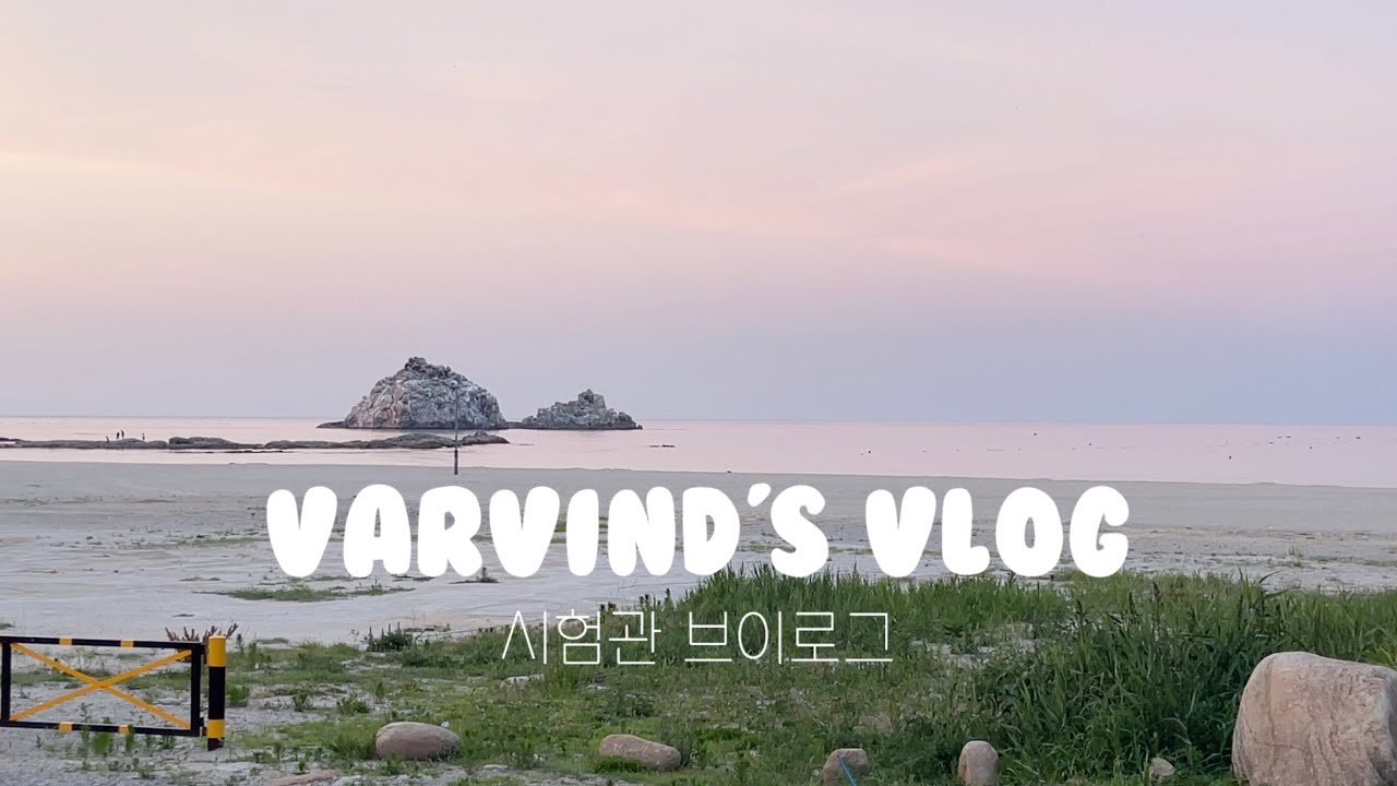 Vlog 마지막 시험관 브이로그 5차 임신성공🤰🏻 이식 전 2달간의 일상기록 식단 전신순환 마음가짐 여행