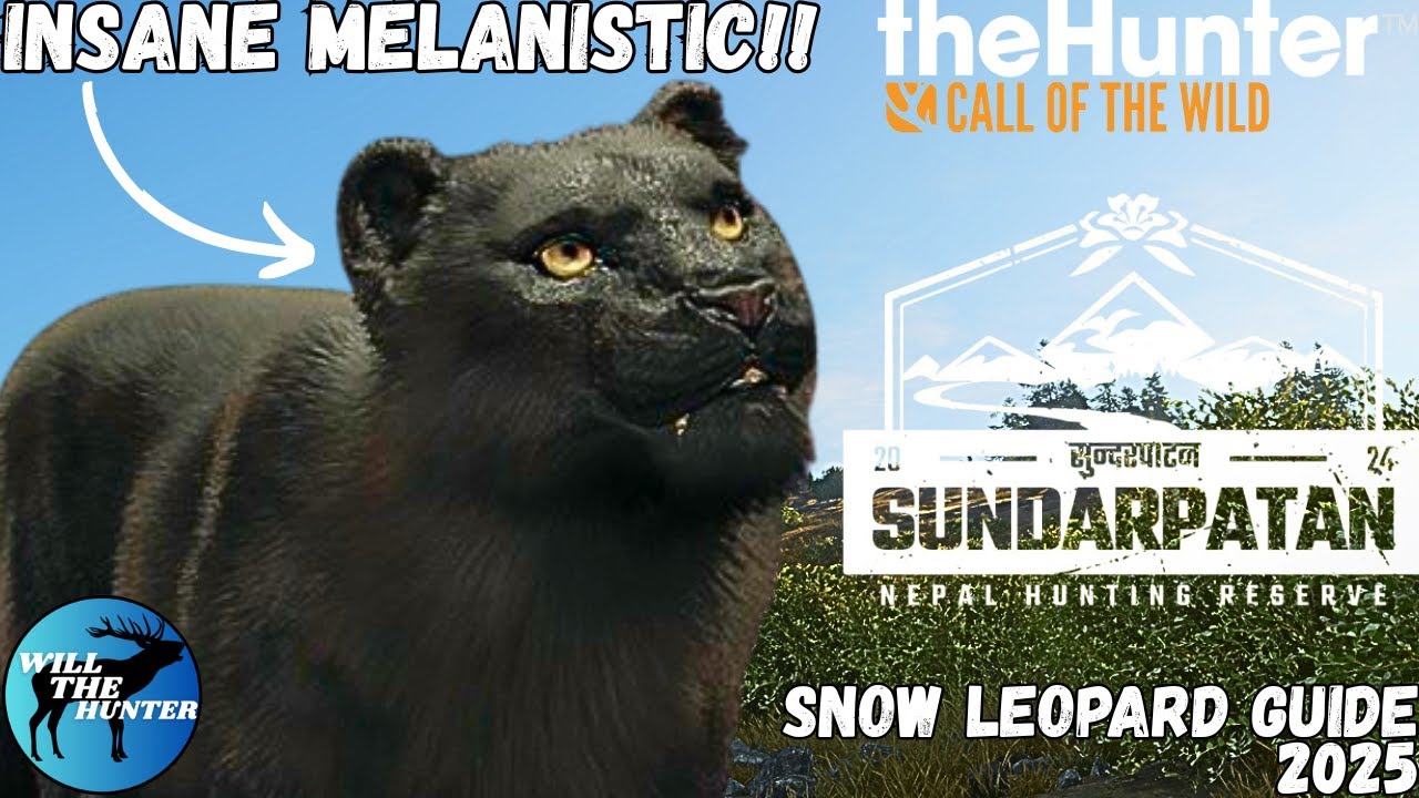 We Hunted An INSANE Melanistic Snow Leopard?! + Sundarpatan Snow ...