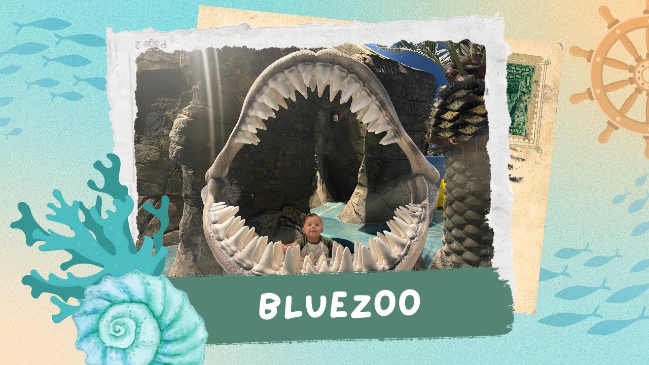 Dive into Adventure: Visiting BlueZoo in West Des Moines - YouTube