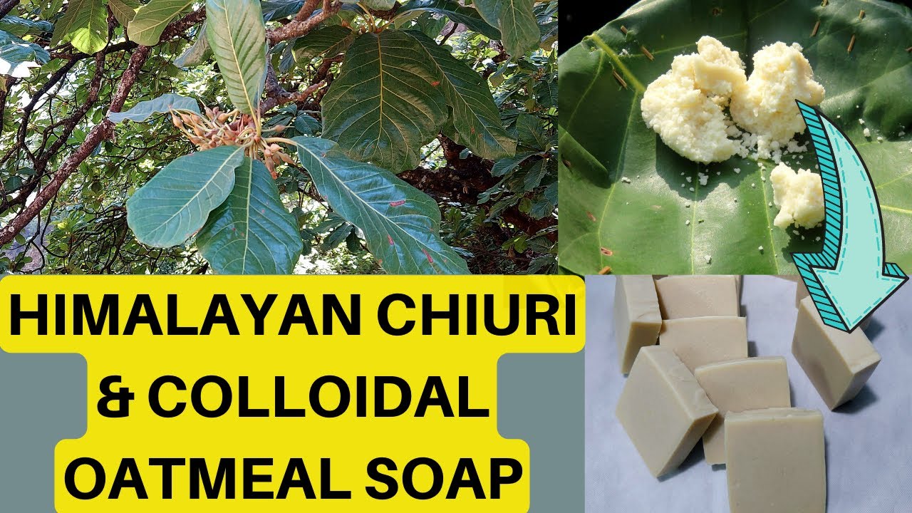 Himalayan Chiuri and Colloidal Oatmeal Soap #chitwan #himalayas # ...