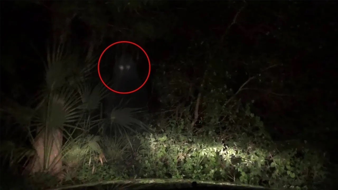 The Most Terrifying Moments Captured in Japan's Scariest Forest! - YouTube