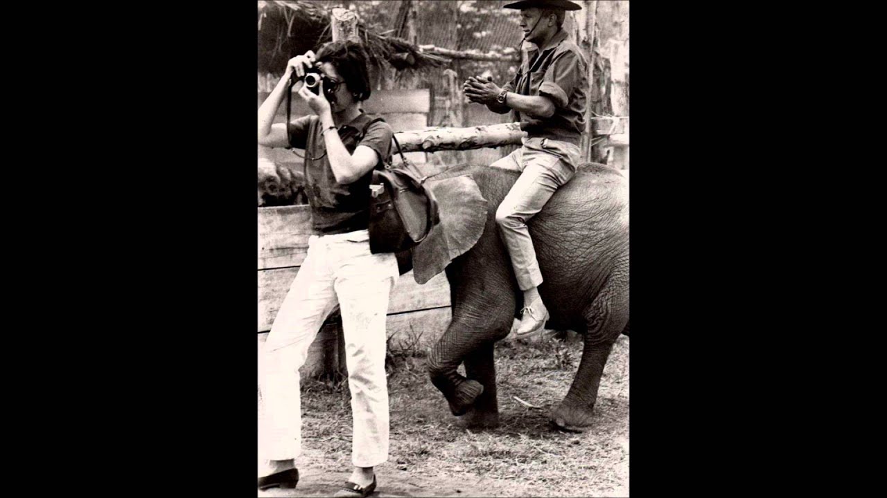 Behind the Scenes Photos: Hatari! - YouTube