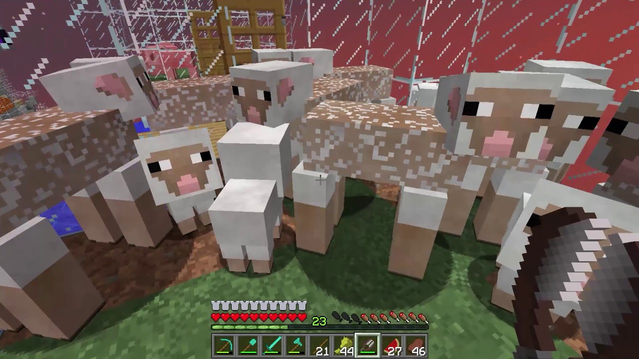 Minecraft w słoiku #21 - Strzyżenie owiec - YouTube