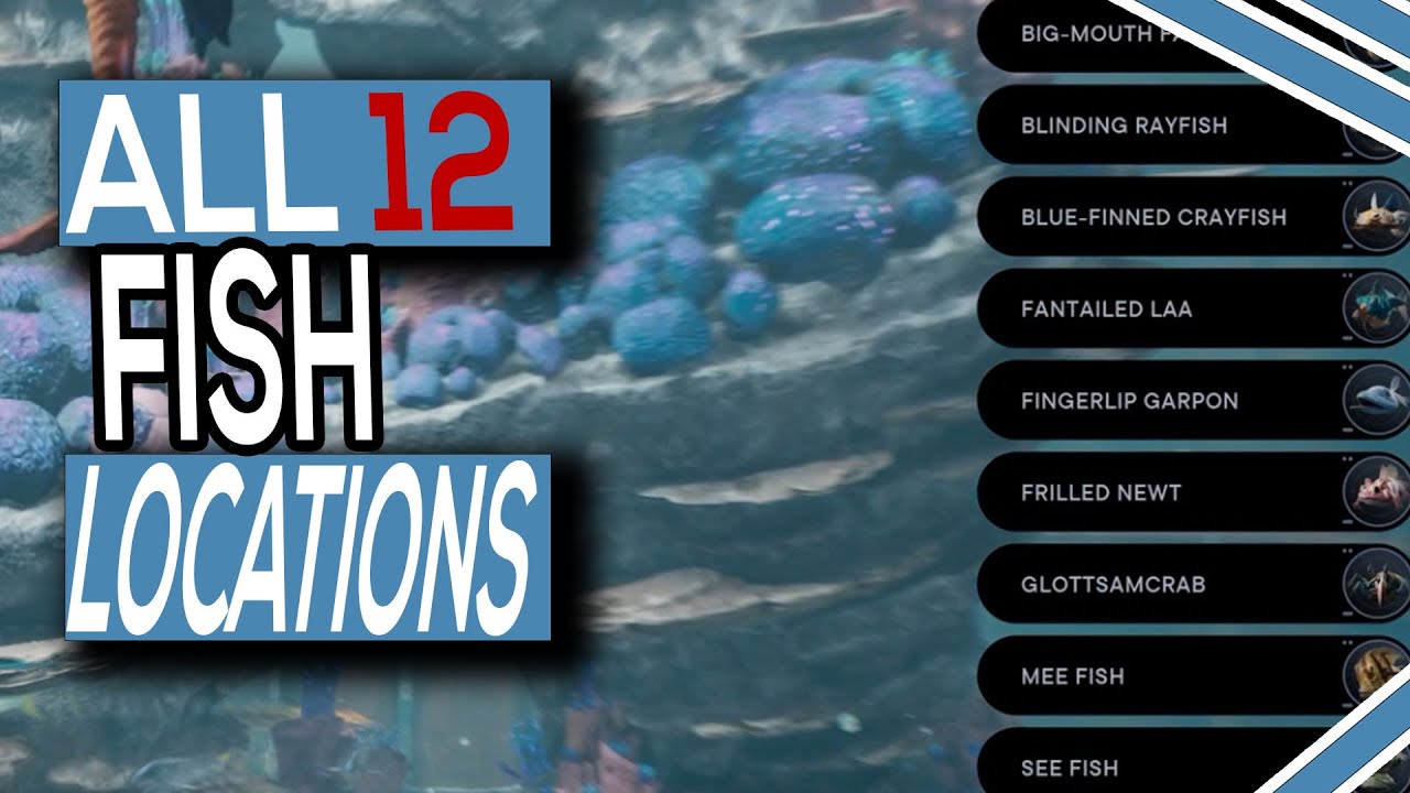 Where To Find All 12 Fish In Star Wars Jedi Survivor - YouTube