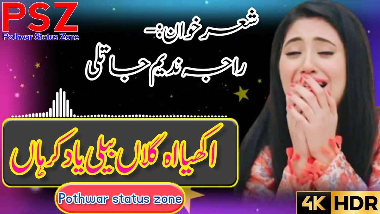 Majazi sher || Raja nadeem akhtar jatli || Watsapp status || Pothwar status zone - YouTube