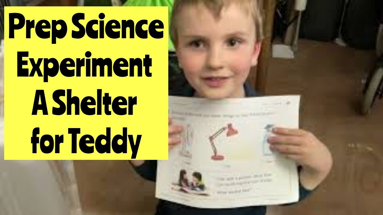 Prep Science Experiment || A Shelter for Teddy Bear from Wind, Rain and ...