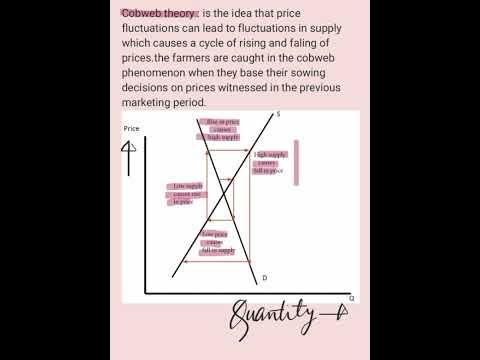 COBWEB THEORY IN SHORTS #economics upsc, cgl wherever they like they ...