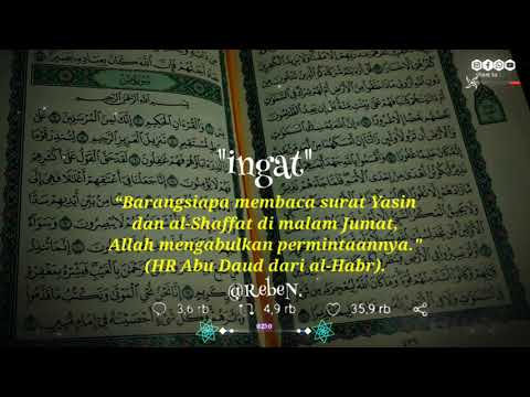 Saben malam jum'at-dan kata kata bijak||Story WA||