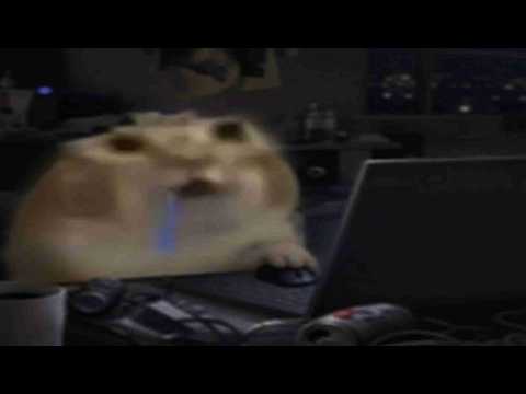 i want noodlez...