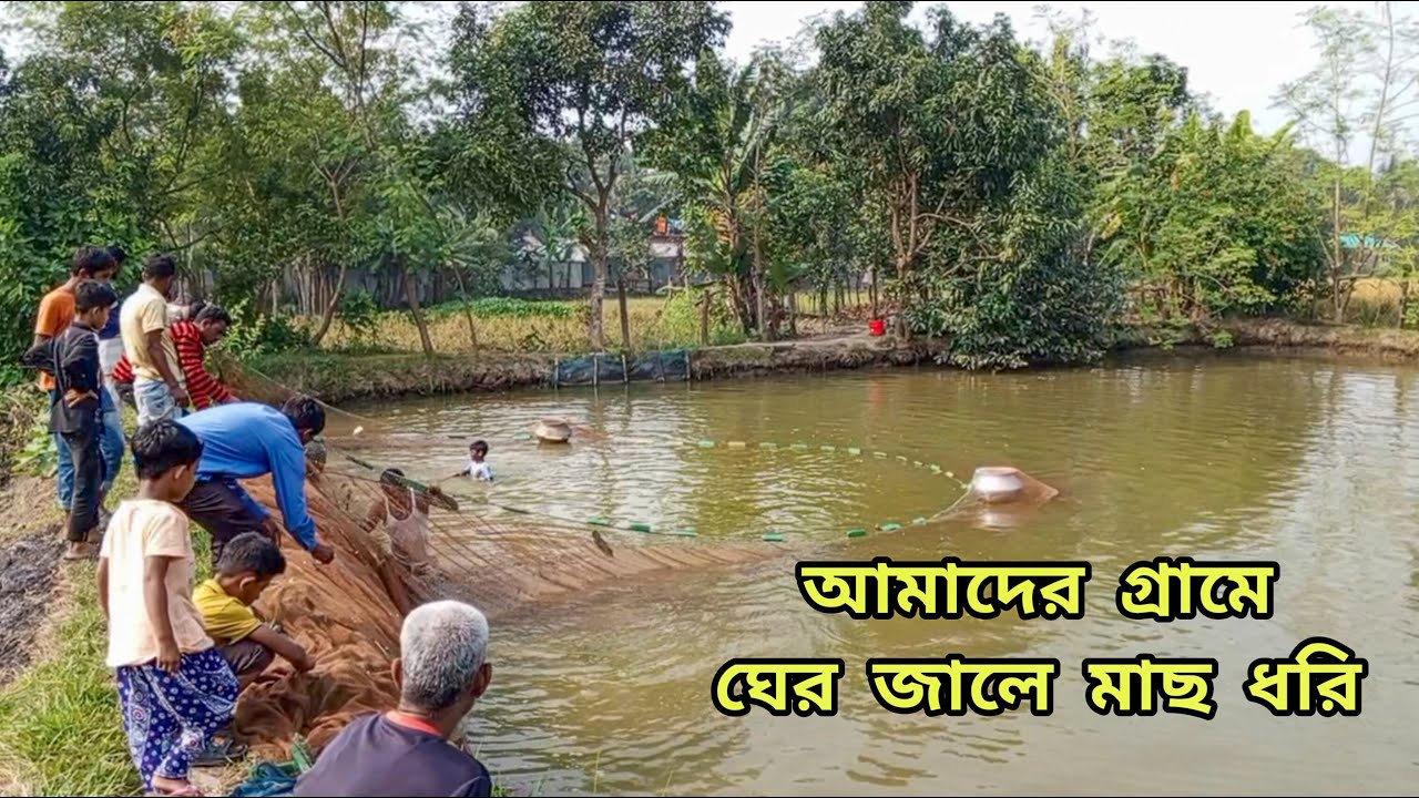 net fishing videos in our village pond.greatest fishing videos of all ...