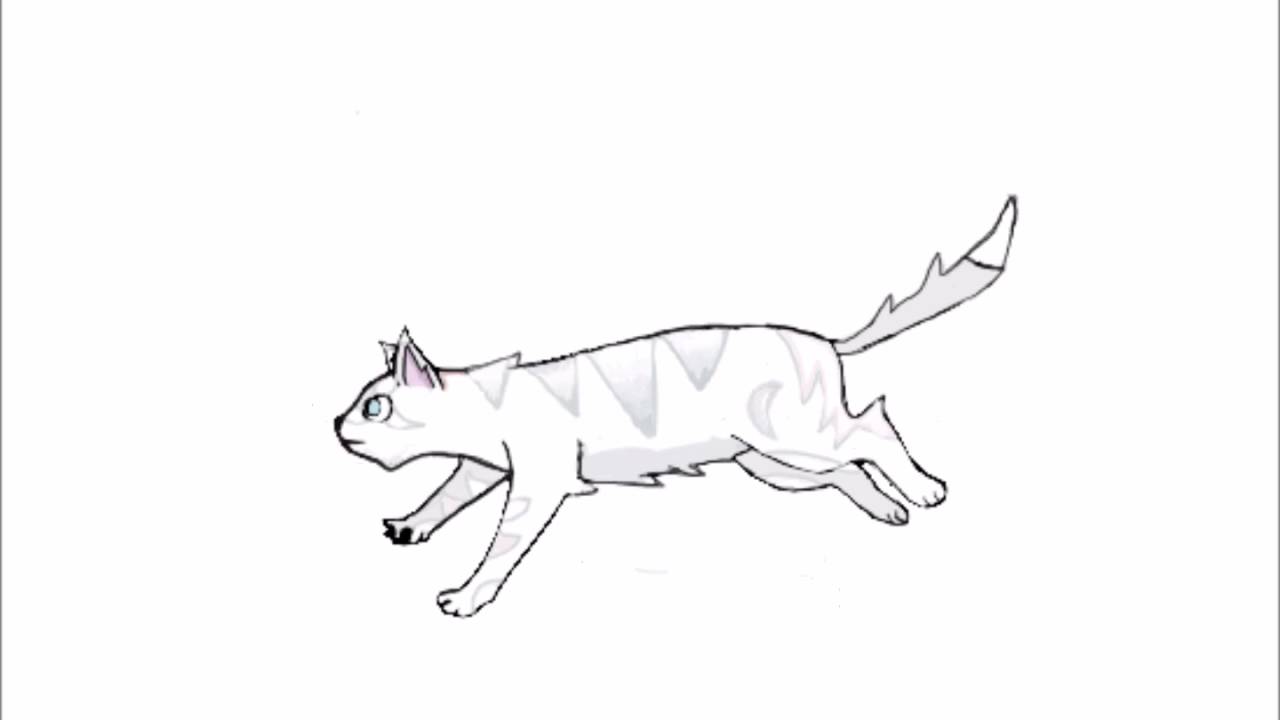 Cat Running Animation - YouTube