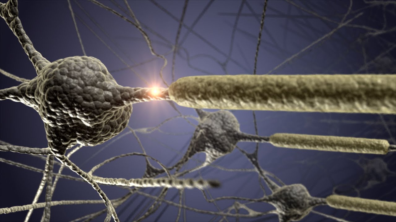 Neurogen Research Foundation - YouTube