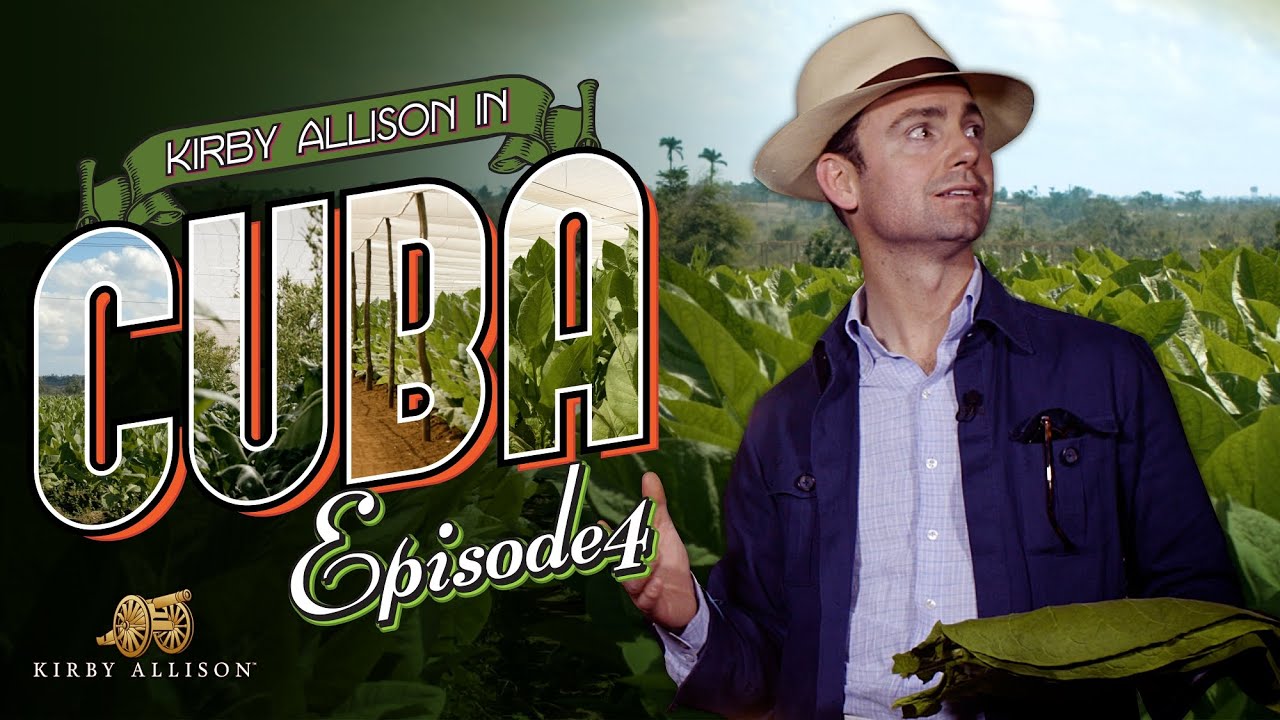 Cuba Day 4: Visiting Cuba's Famous Tobacco Fields | The Heart of ...