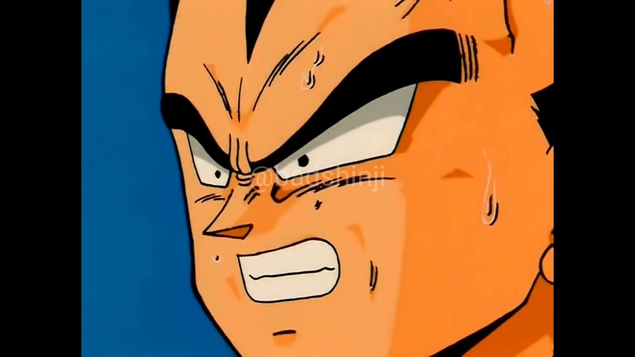 vegeta descobre o plural de gravidez - YouTube