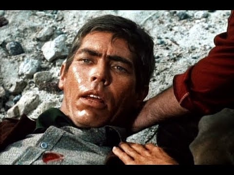 Adam Cartwright--One More Fight - YouTube