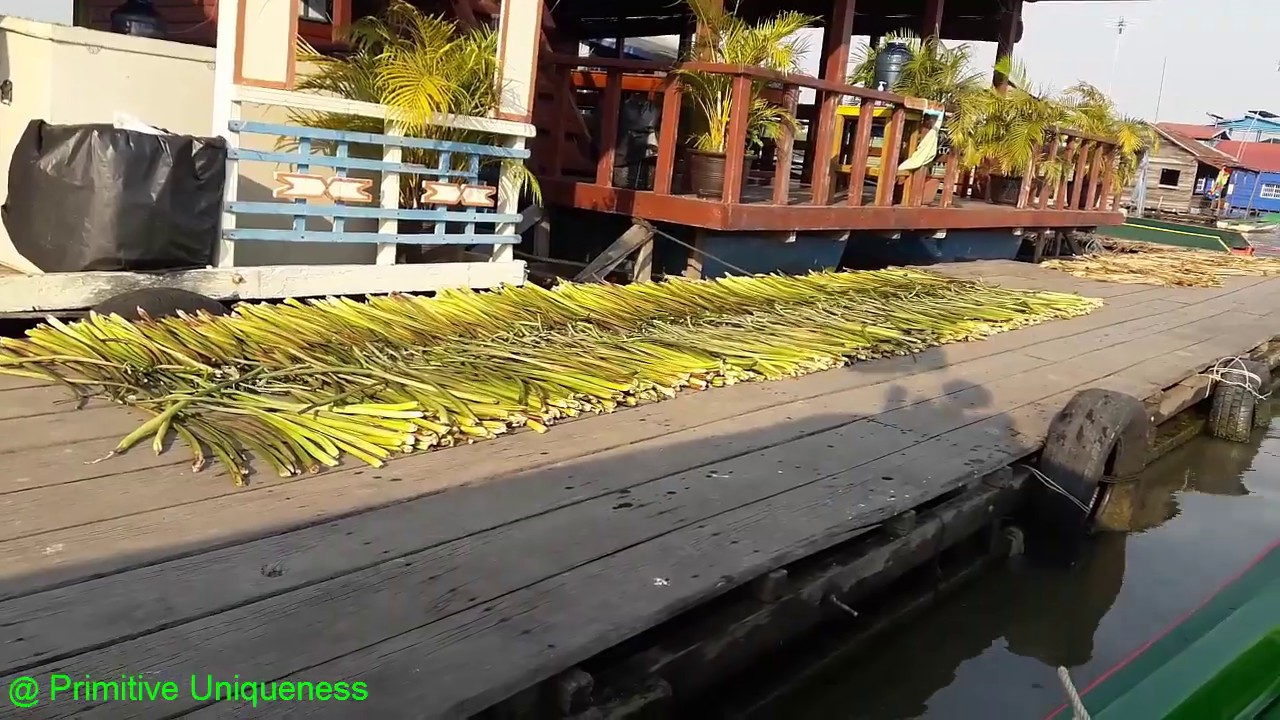 How To Dry Water Hyacinth , After Dried Then dye a Colours - YouTube