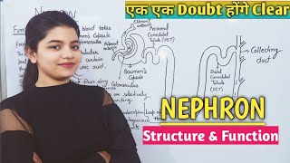 Nephron | Structure u0026 Function | Life Process | Eas... | Doovi