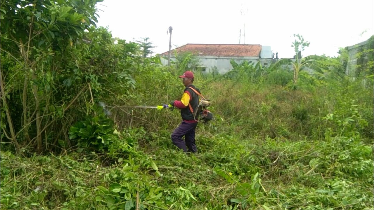 JASA BABAT RUMPUT SEMAK DI TEMPAT CUSTOMER SELATAN TERMINAL BUS ...