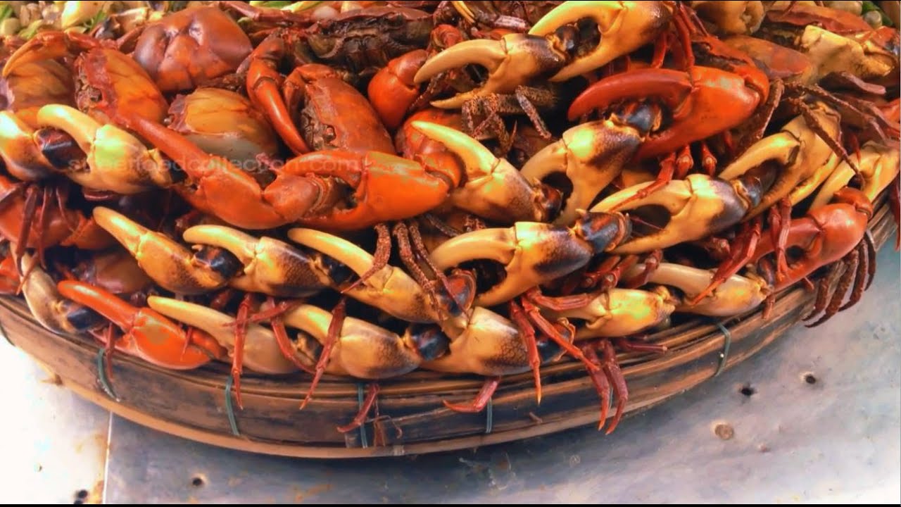 Steamed rice crabs and many exotic foods in Cambodia | Khmer street ...