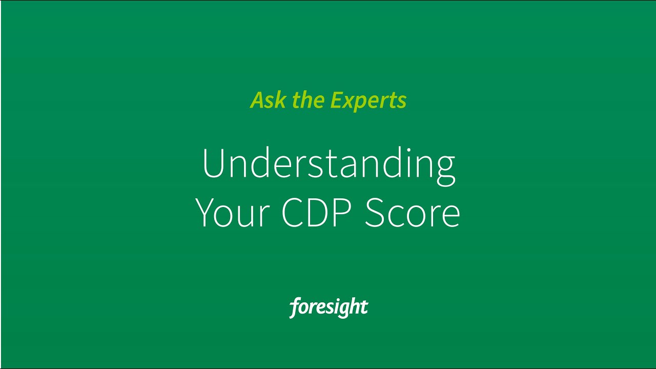 Understanding Your CDP Score - YouTube