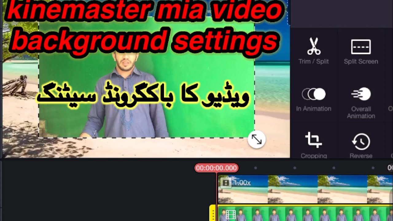 kinemaster background setting video | background change in kinemaster ...