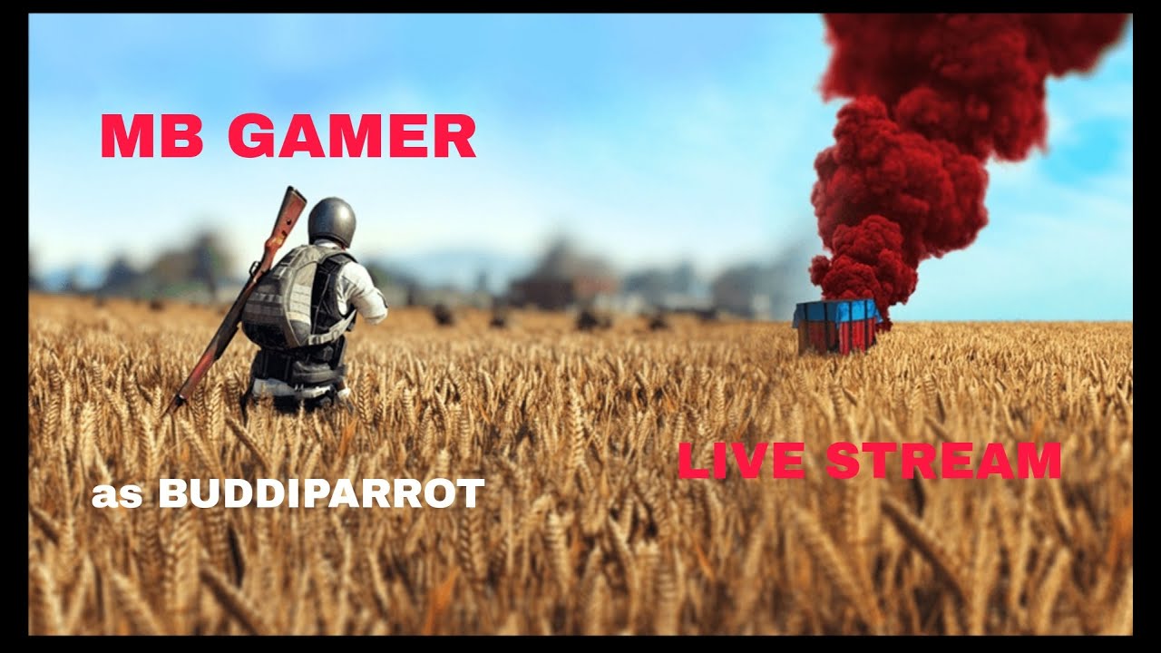 MB GAMER// LIVE STREAMING BY BUDDIPARROT // PUBG MOBILE / - YouTube