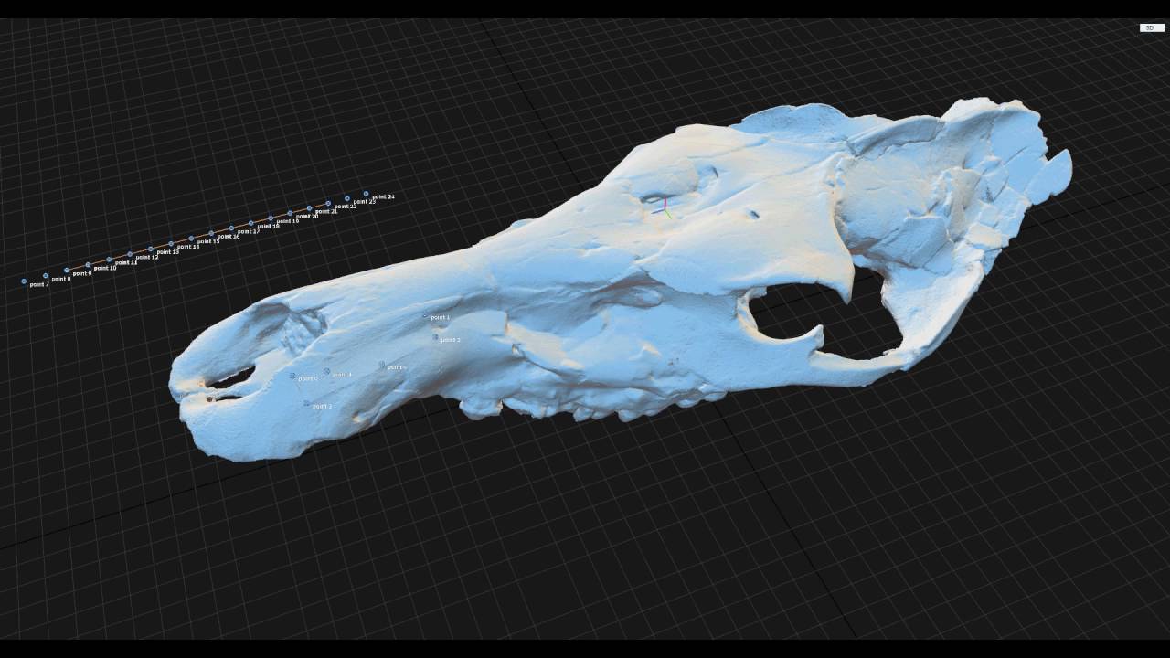 Bothriodon 3D 2016 05 10 0033 - YouTube