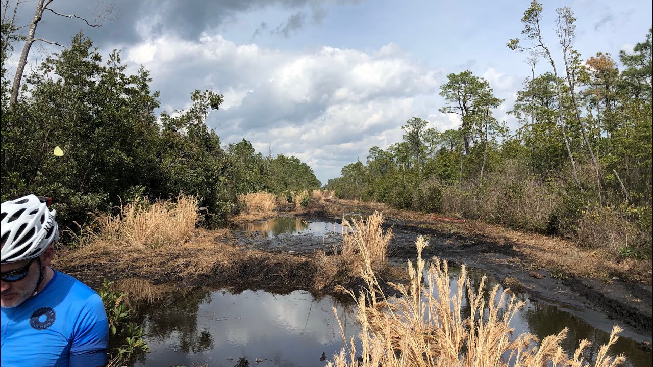 CROATAN BLACK SWAMP & ATV - YouTube