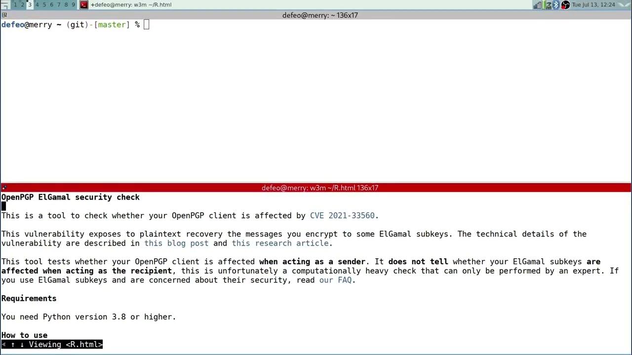OpenPGP ElGamal Security Check demo - YouTube