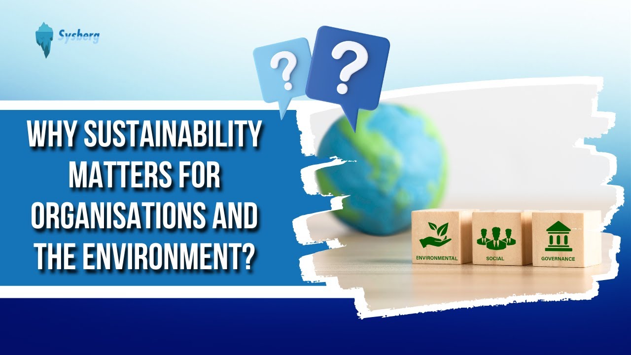 Why Sustainability Matters for Organisations and the Environment - YouTube
