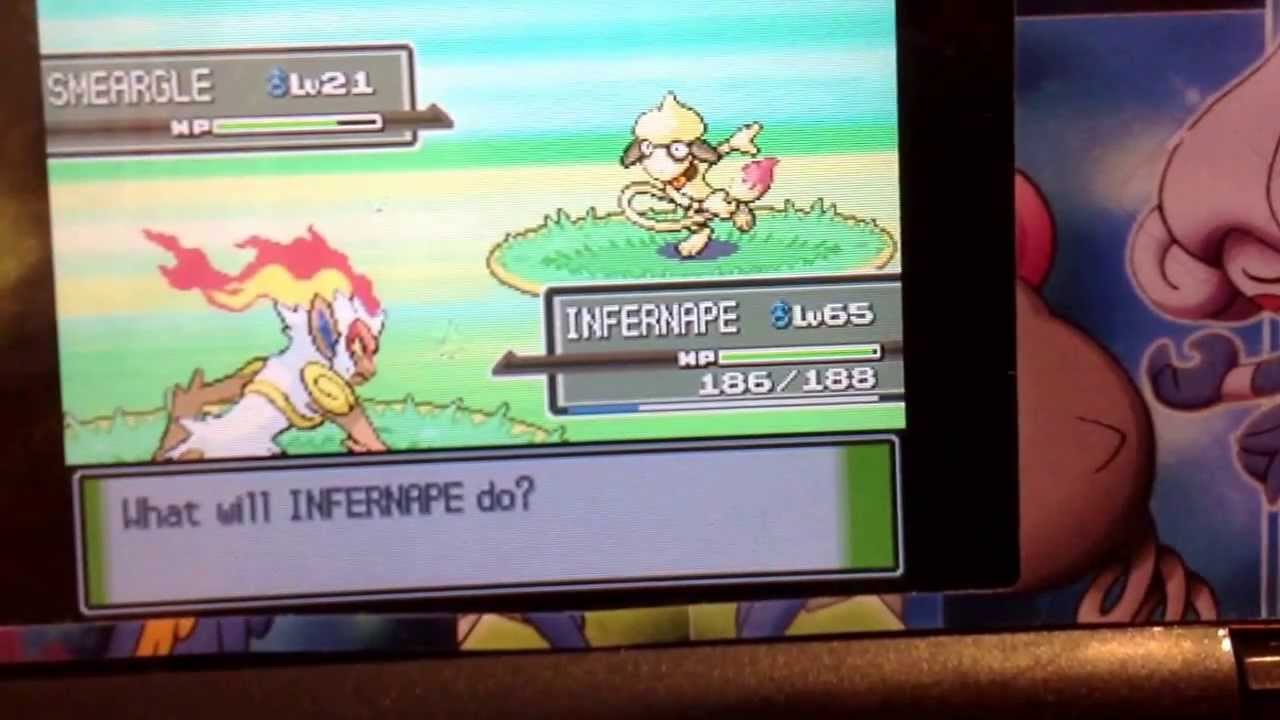 Pokemon platinum shiny smeargle + live shiny patch - YouTube