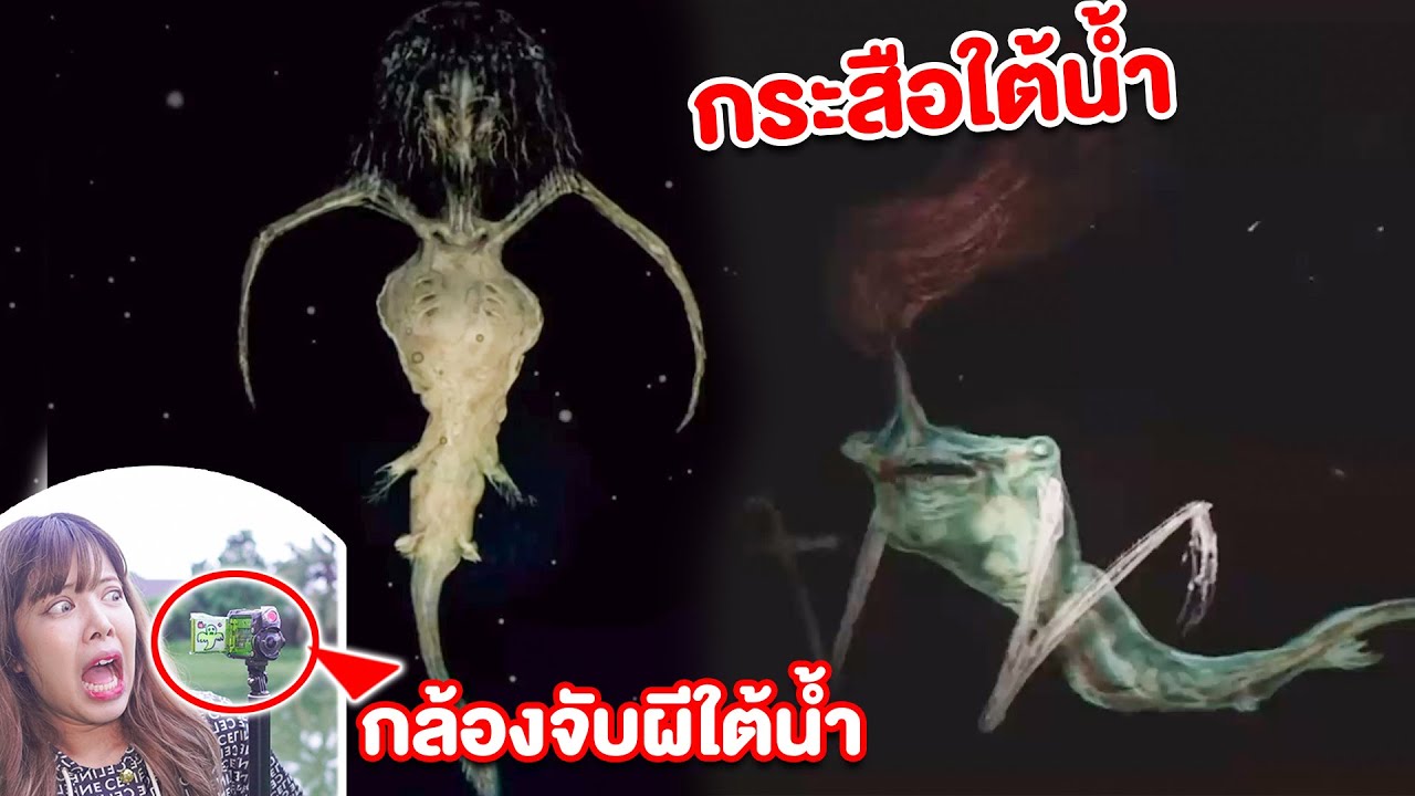 Underwater camera captures a terrifying underwater ghost, a crocodile ...