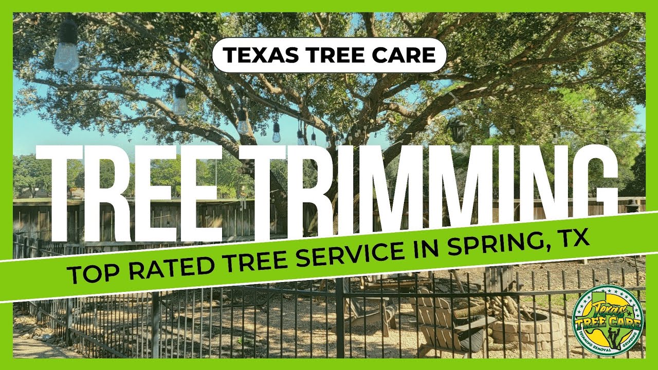 Tree Trimming in Spring, TX by Texas Tree Care 🌳 Spring Tree Service ...
