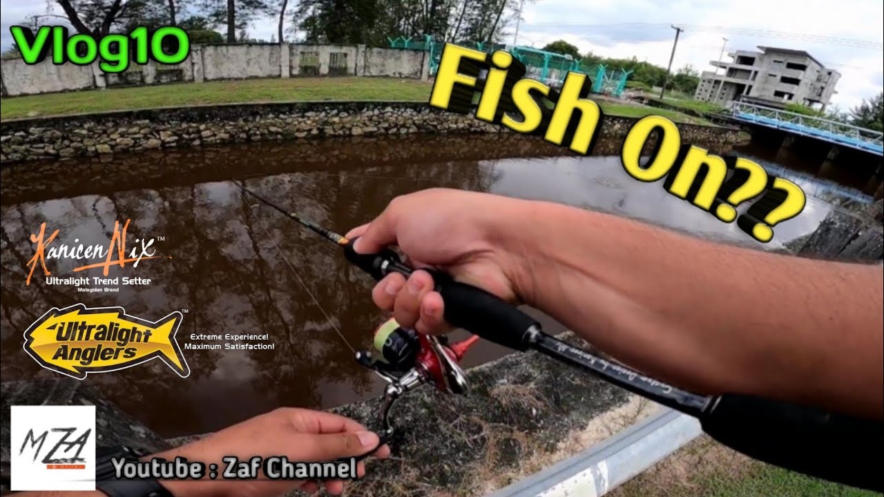 Spot tarpon curut & unlock ikan?? - YouTube