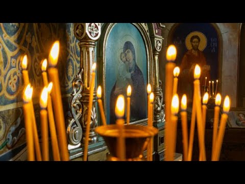 Duminica, mergem la biserică! #protestantai #cctv #pigeon - YouTube